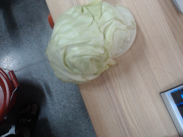 cabbage 2 Object Detection Dataset by yolo