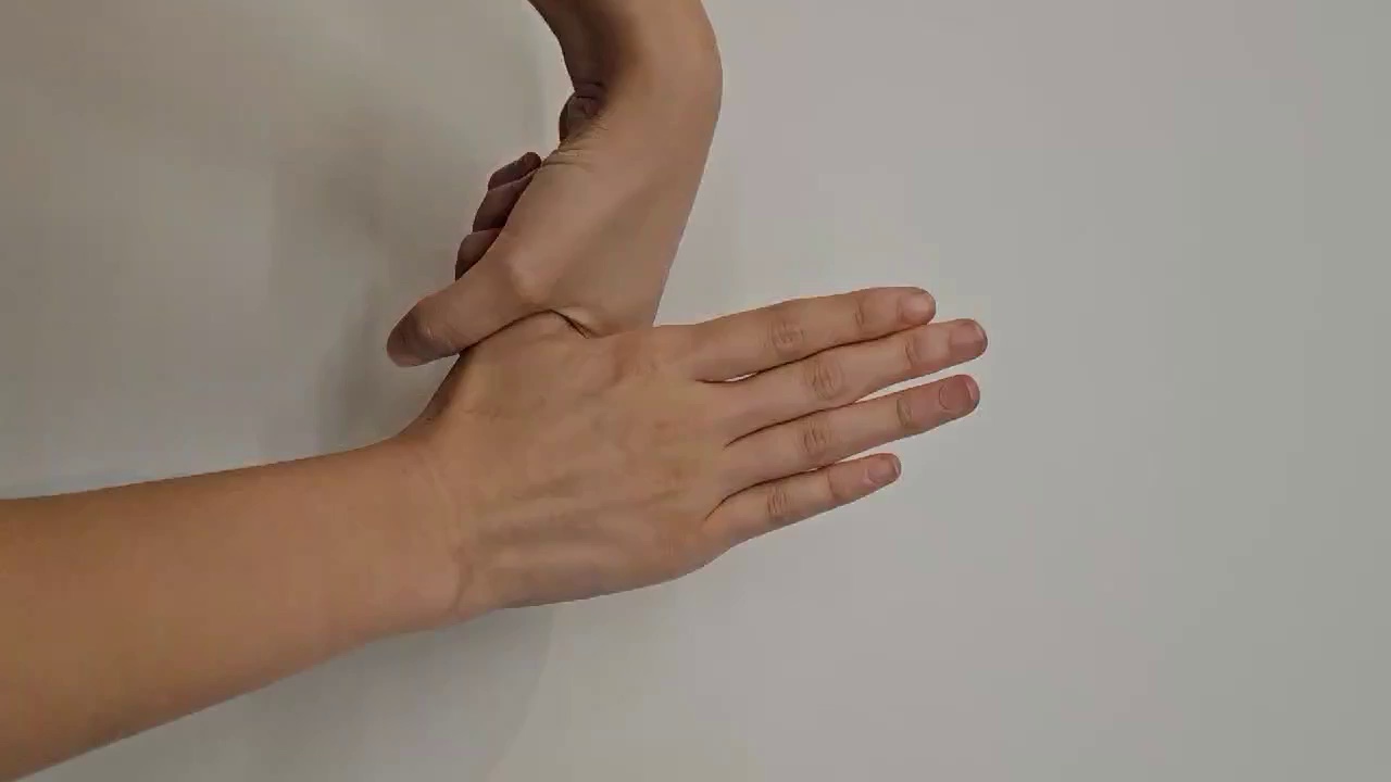 hand4 Object Detection Dataset by hand