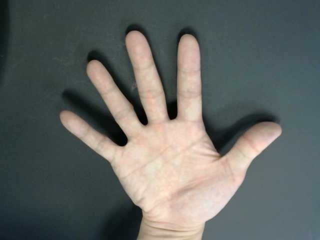 hand Object Detection Dataset and Pre-Trained Model by abc