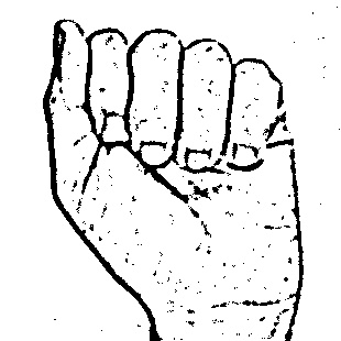 SIGN LAN Object Detection Dataset by SIGN LAN