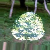 Deep Learning (deep-learning-tezd5) - Roboflow Universe