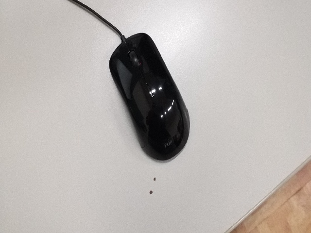 label Object Detection Dataset and Pre-Trained Model by project-u5an9