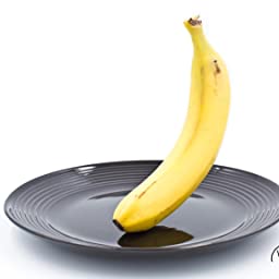 shristy - Roboflow Universe