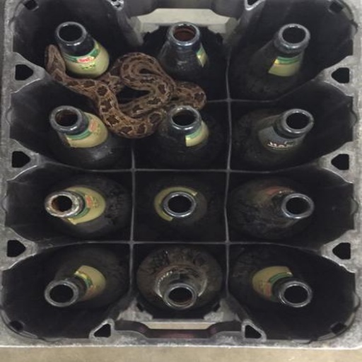 My Project Detection Instance Segmentation Dataset And Pre Trained Model By P