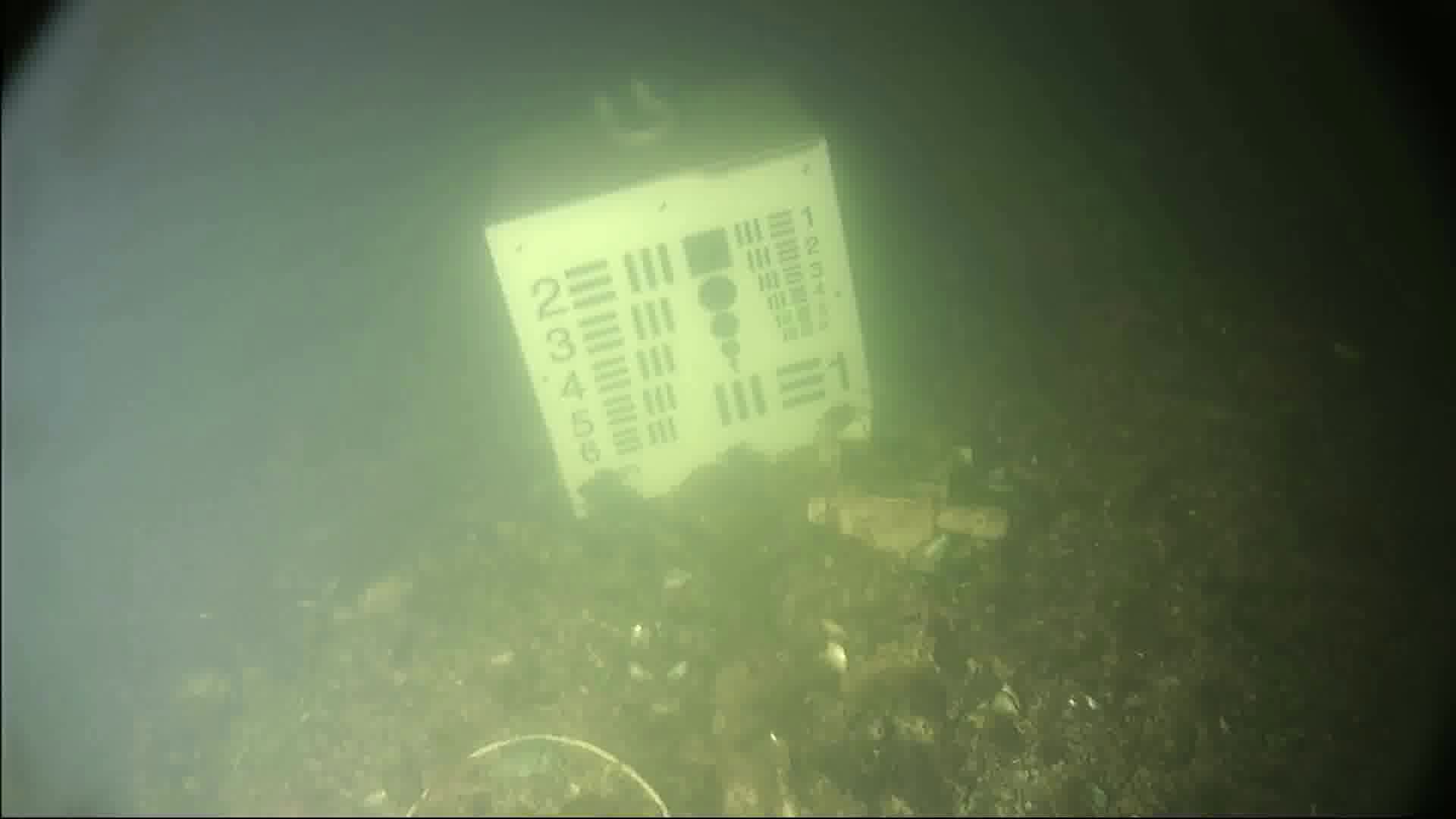 Brackish Underwater Object Detection Dataset