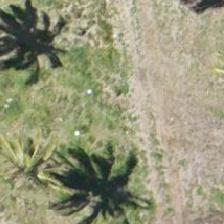 ytrr Object Detection Dataset by Hassan Sohail