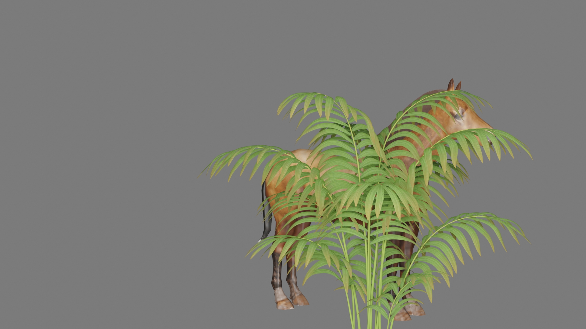 Integral Imaging Dataset Object Detection Dataset By Thesis