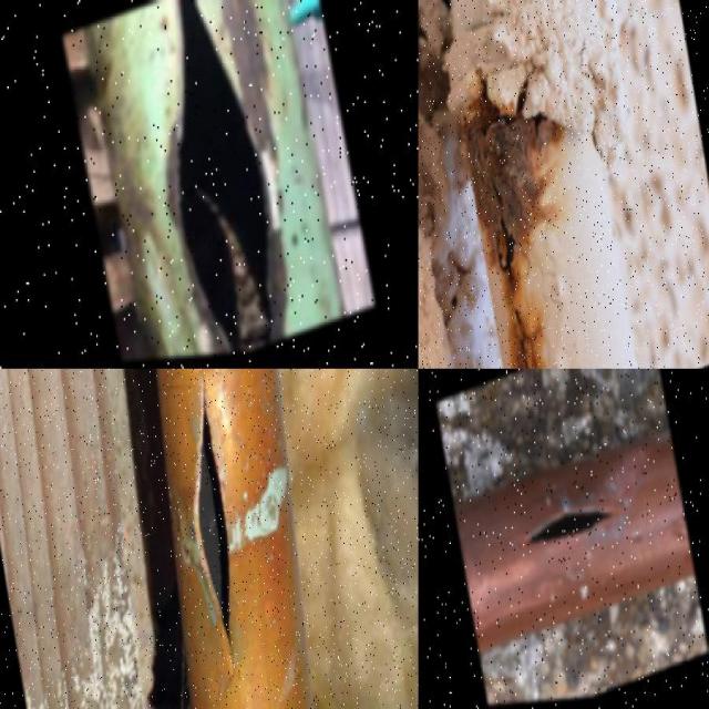 pipe_seg final Instance Segmentation Dataset and Pre-Trained Model by prithvi