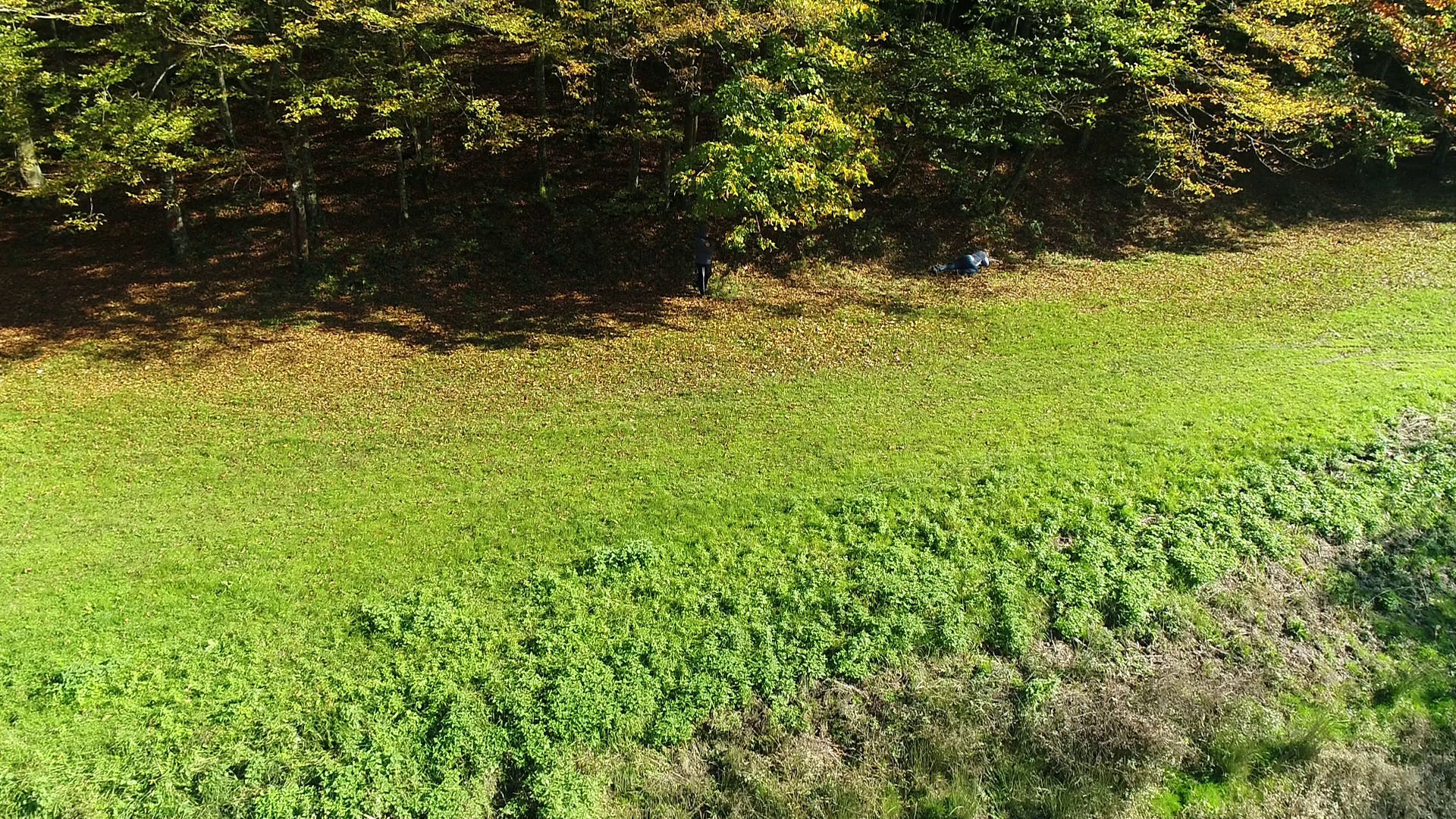 Sard Object Detection Dataset By Sar