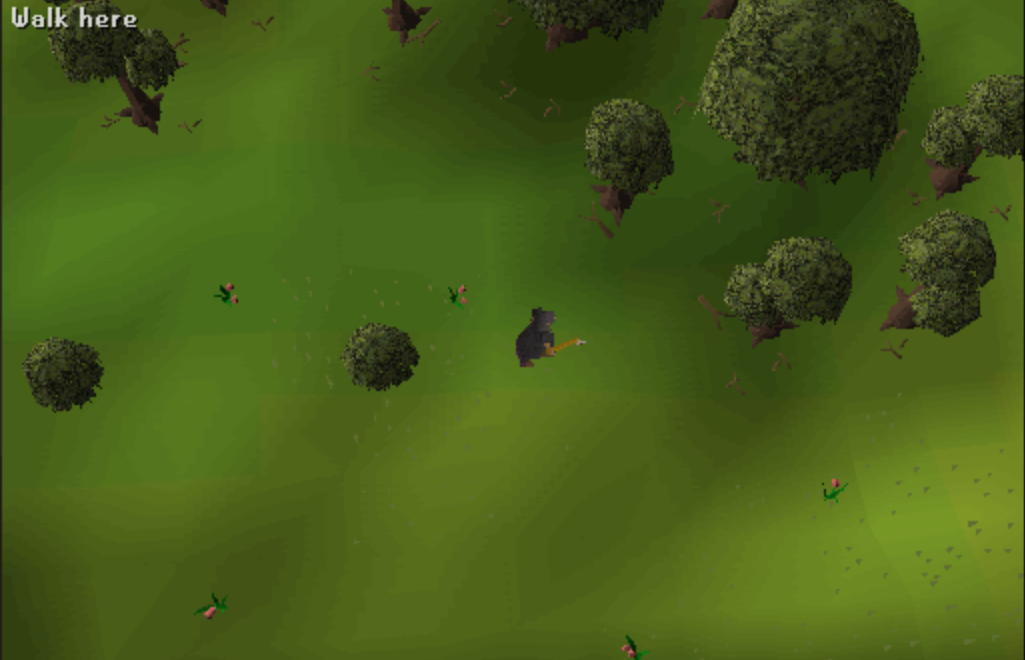 Rocktail - Roboflow Universe