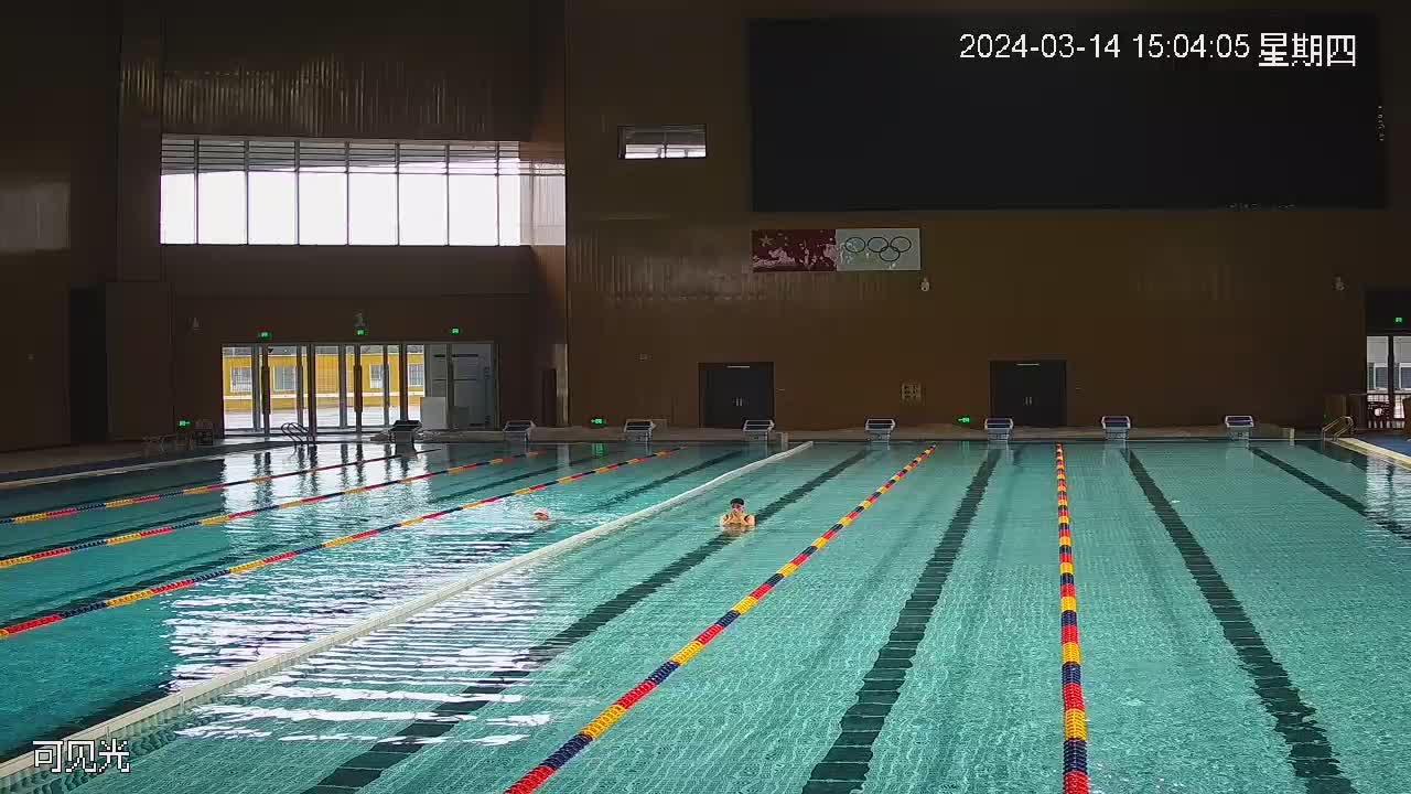 swim Object Detection Dataset by works