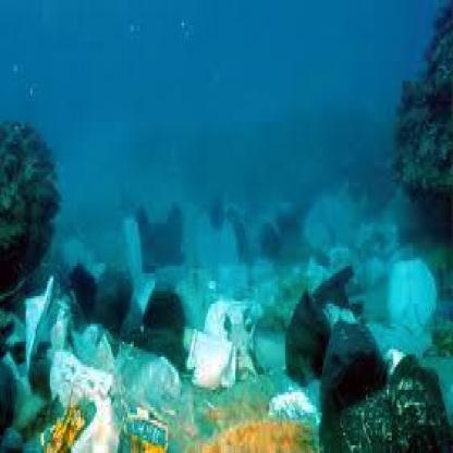 underwater-plastic Object Detection Dataset by Brain Stroke Detection