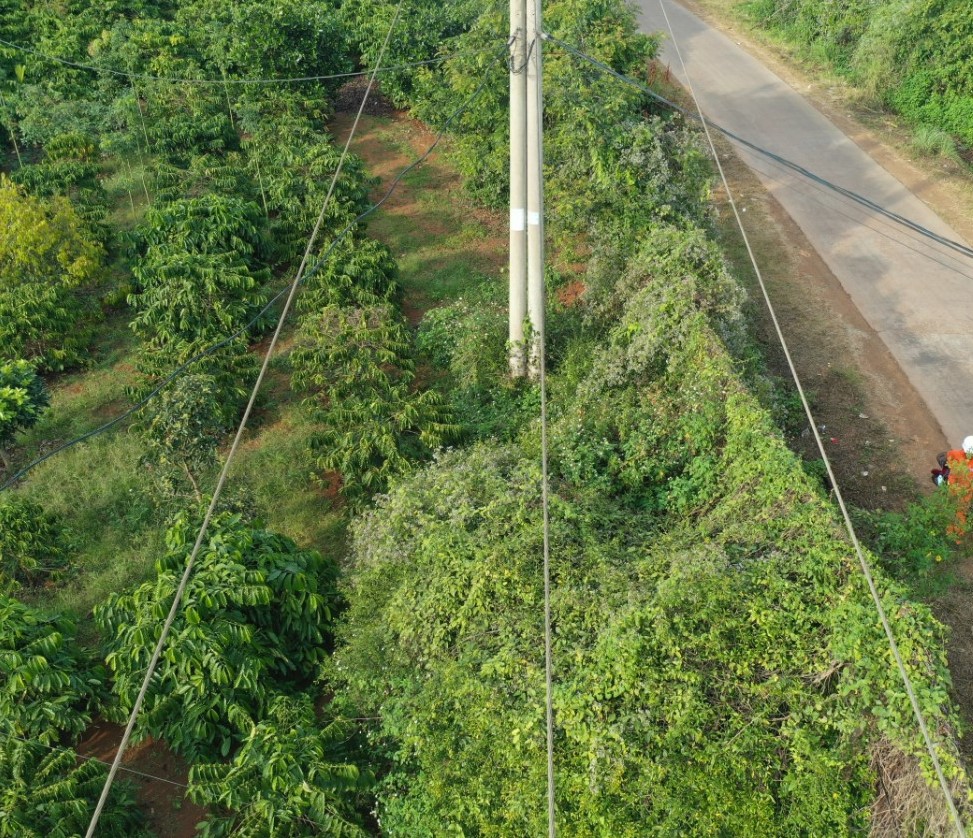 Dây Trần Trung Thế Object Detection Dataset By Dnopcgiai Doan 2