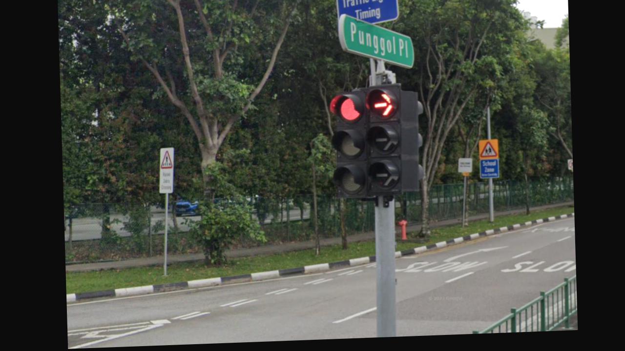 FYP pedestrian traffic lights 2 Object Detection Dataset by FYP