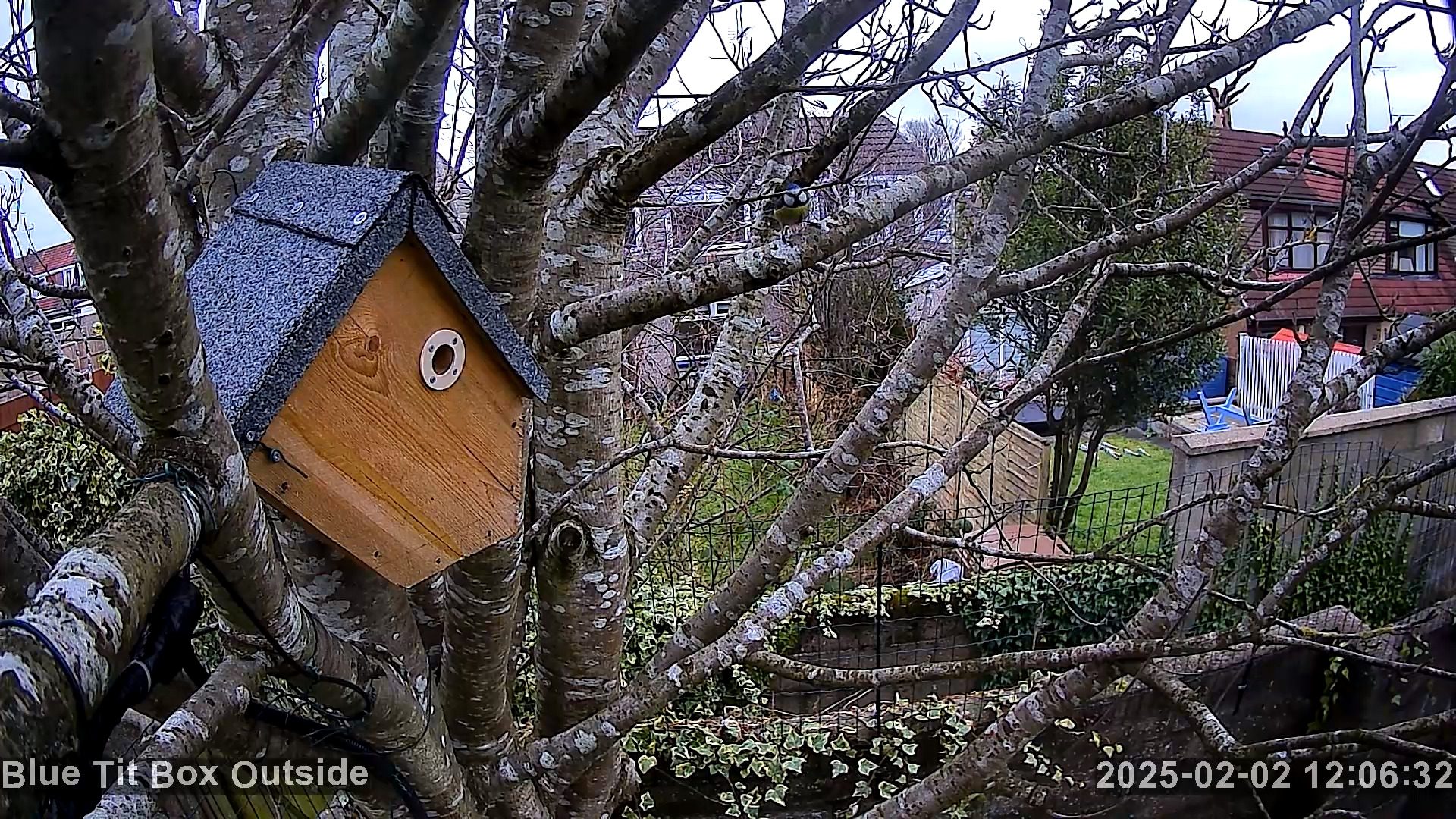 bird camera 2025 Object Detection Dataset by bird