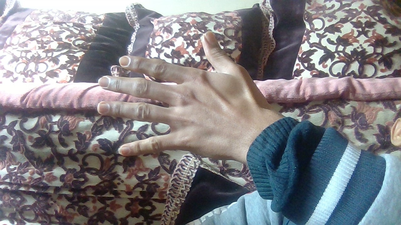 hands Object Detection Dataset and Pre-Trained Model by HandGuesturedetectionandTracking