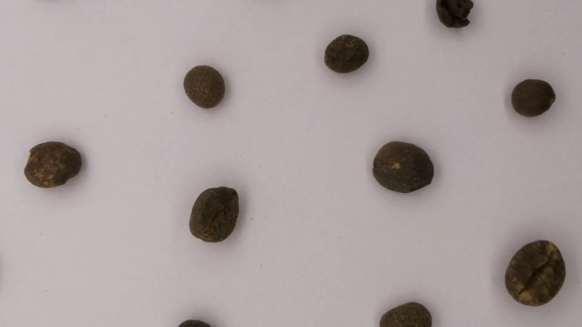 CPE200-2L All Samples Object Detection Dataset by Coffee beans