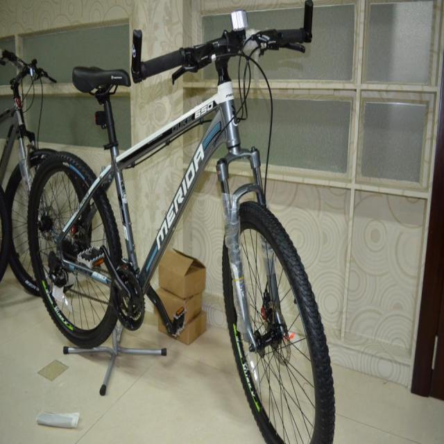 Bikes or People Object Detection Model by bikes and peeps