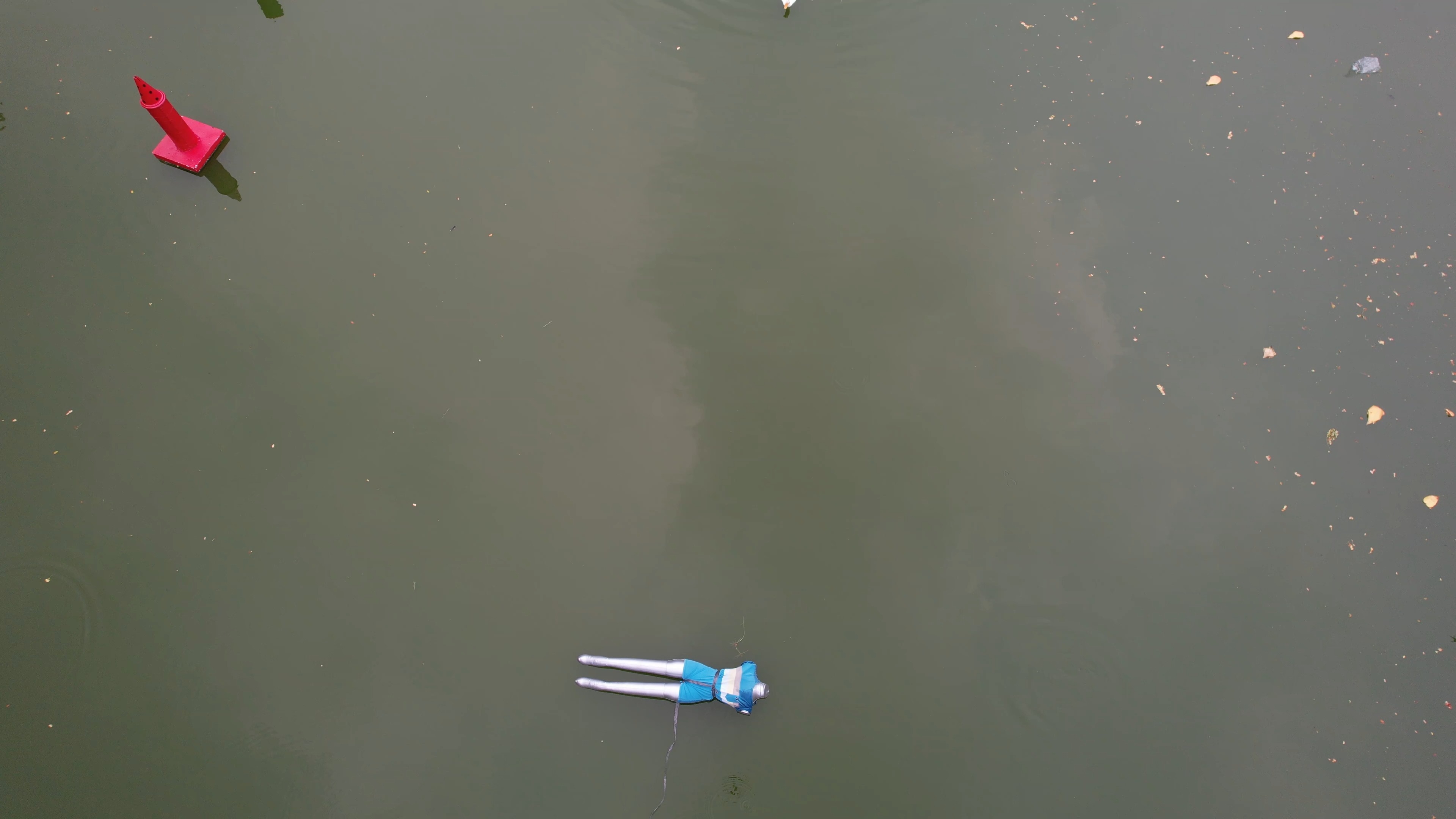 person detection 2 Instance Segmentation Dataset and Pre-Trained Model by person detection