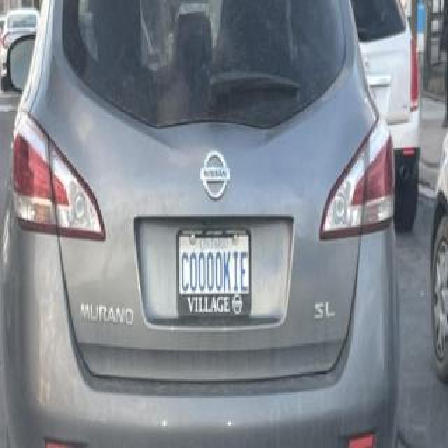 Videoyolov8 Object Detection Model By Video Yolov8 Plate Check