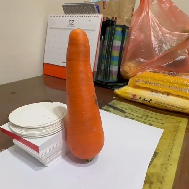 carrot Object Detection Dataset by ll