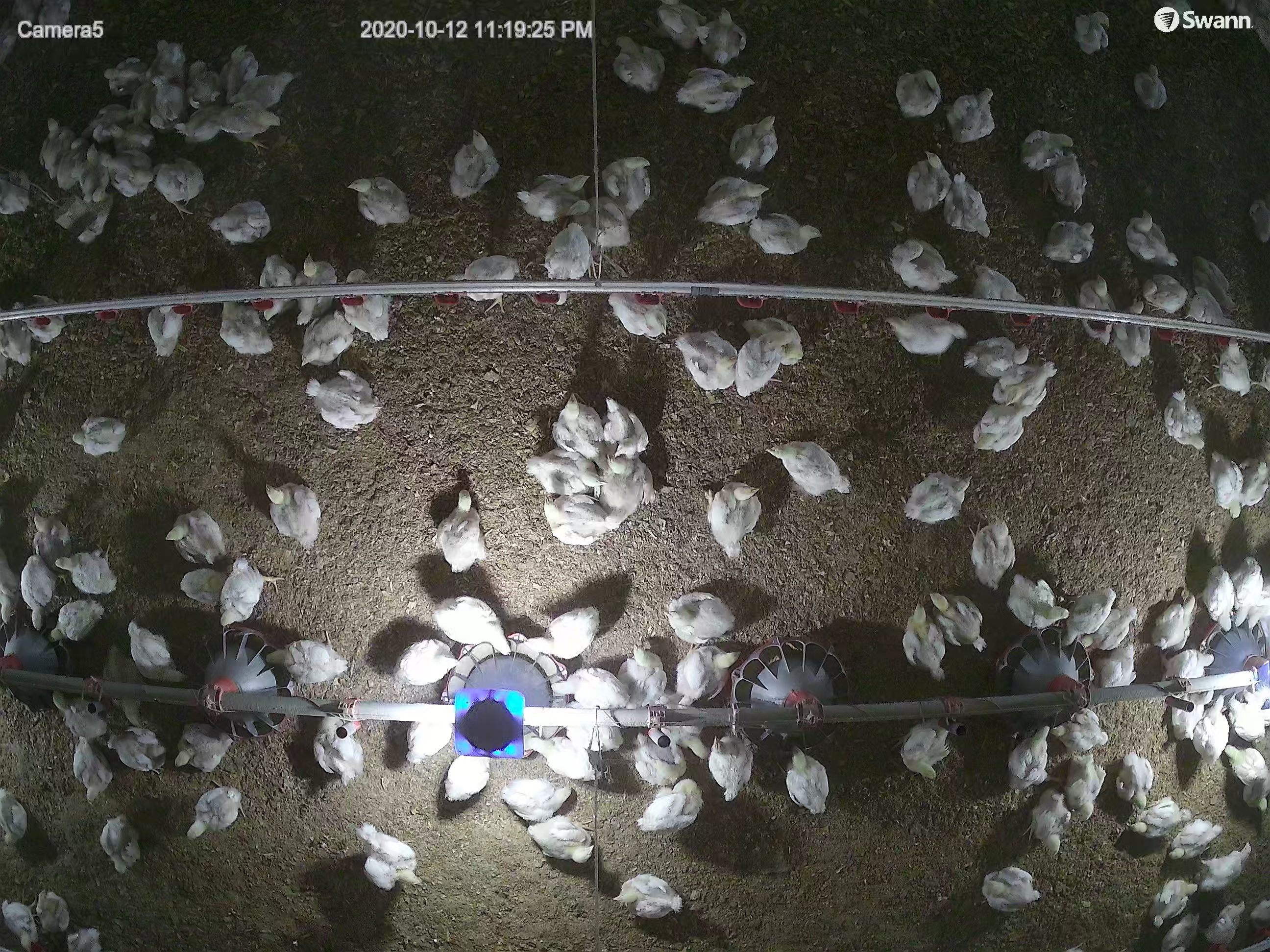 ethh - Roboflow Universe