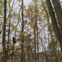 FPV drone detection and tracking Object Detection Dataset by Computer ...