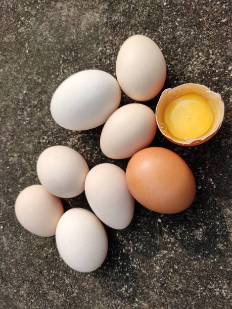Egg Segmentation in Poultry Industry Based on Color Object Detection Model by Data science