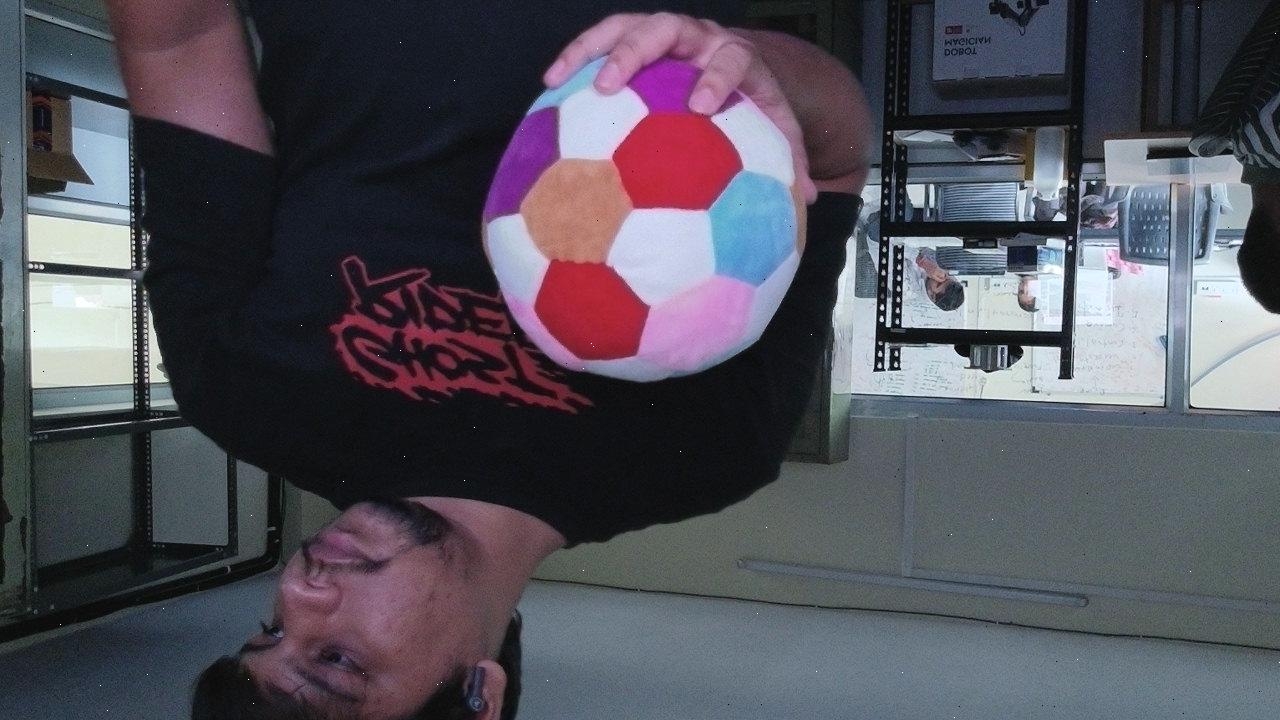 ball_dataset Object Detection Dataset by drone