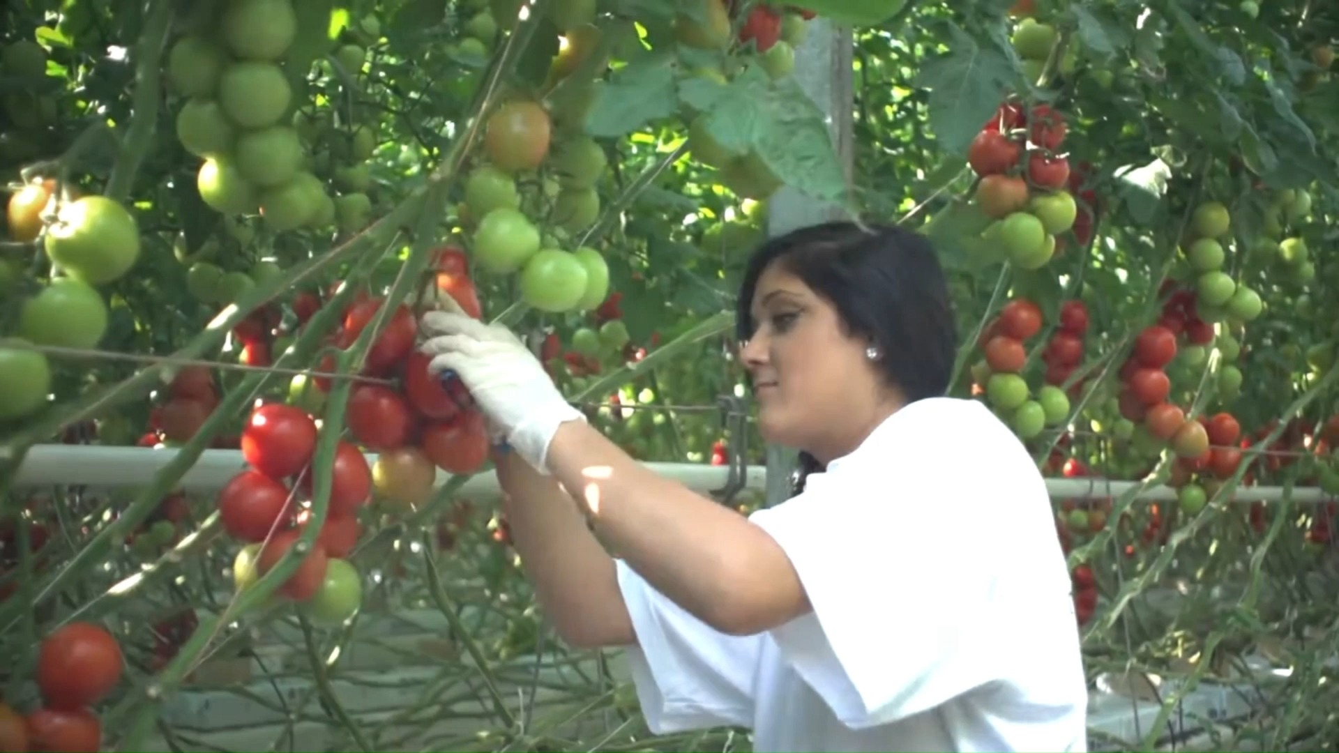 Action Recognition Object Detection Model by Action