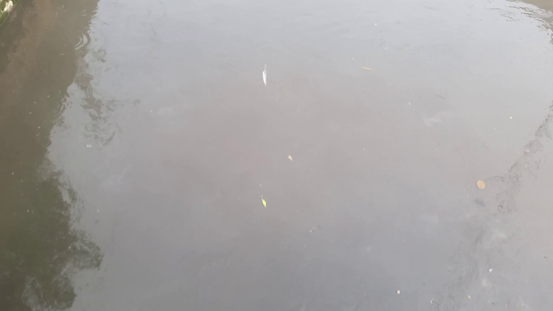 Mine, TACO, Canal Object Detection Dataset by TACO