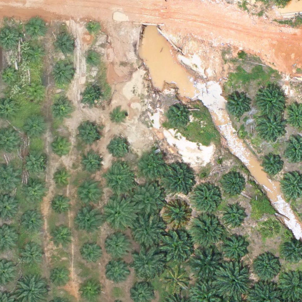 Soil and Palm Spatial analysis - Roboflow Universe