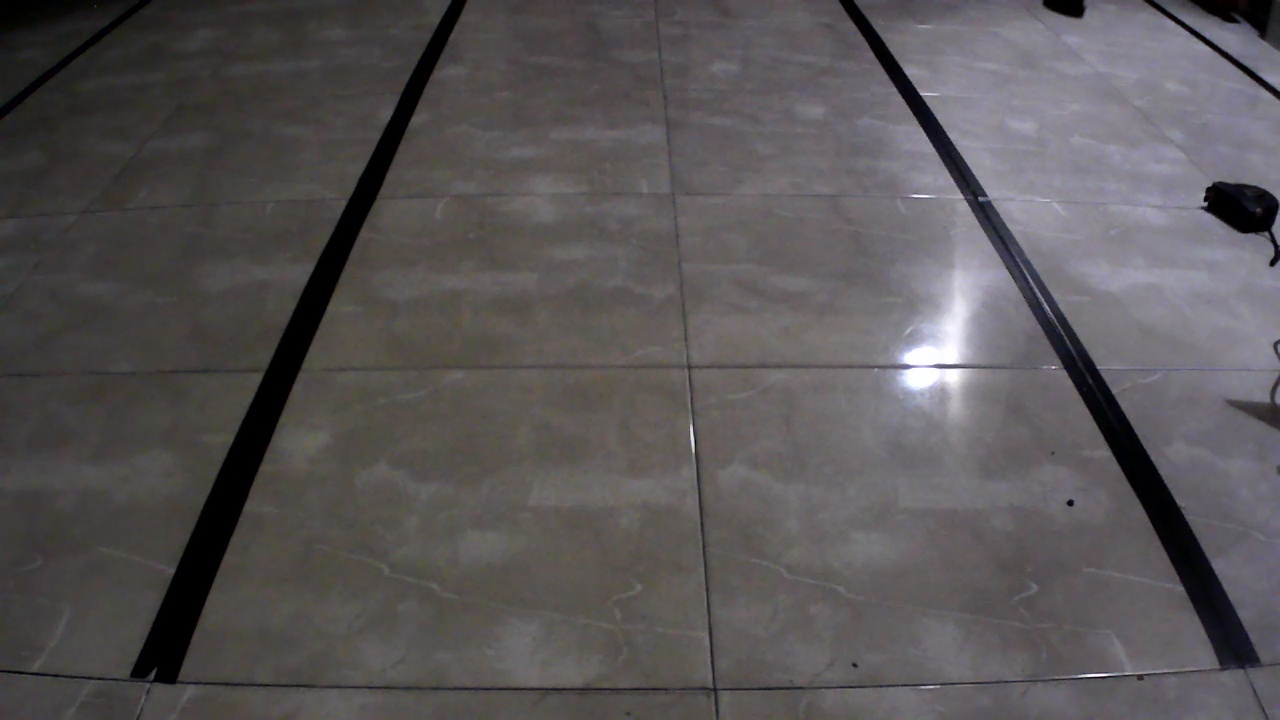 black line detection Instance Segmentation Dataset by Computer vision projects