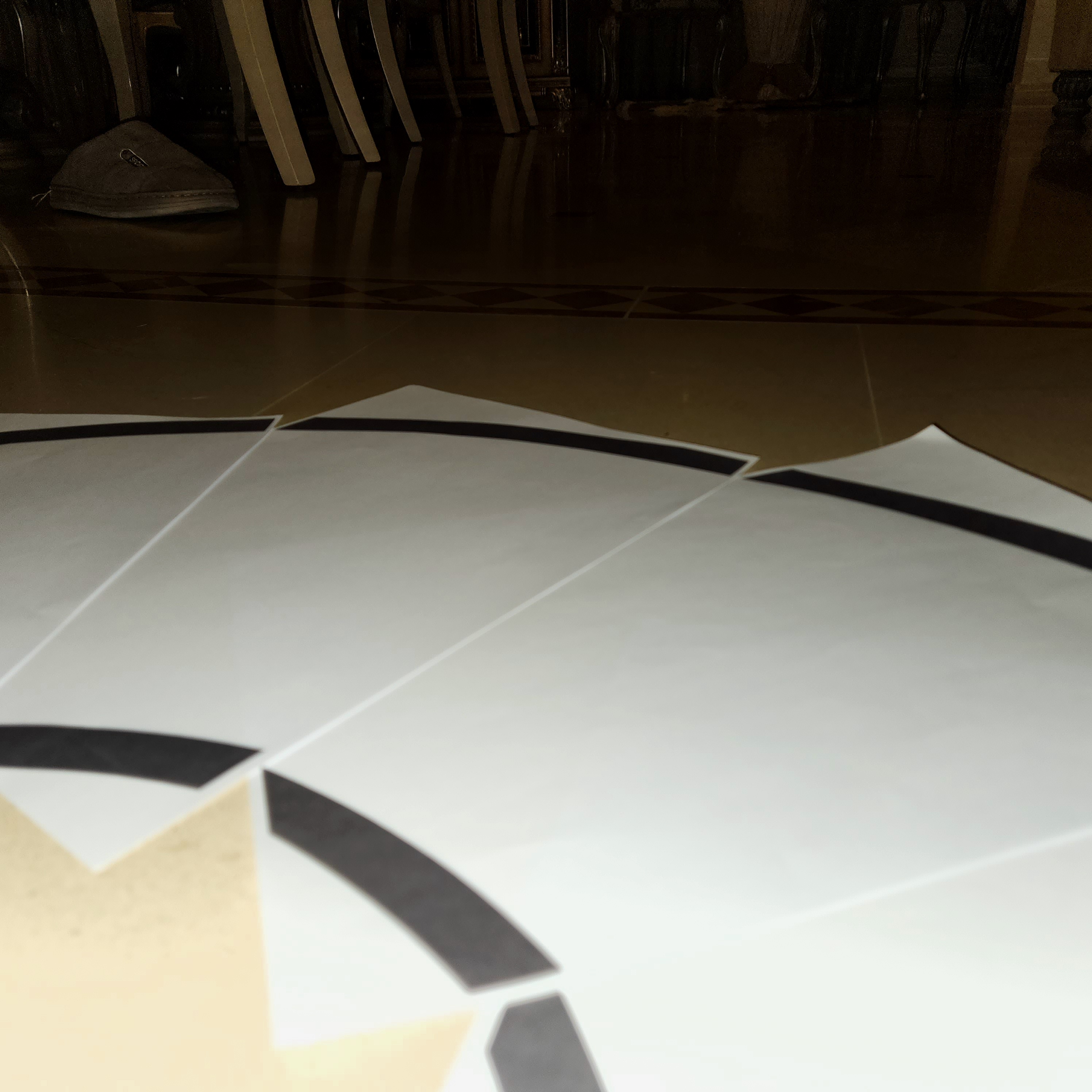 black_lane_detection Instance Segmentation Model by Computer vision projects