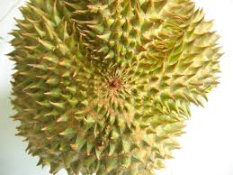 Durian Object Detection Dataset by Durian