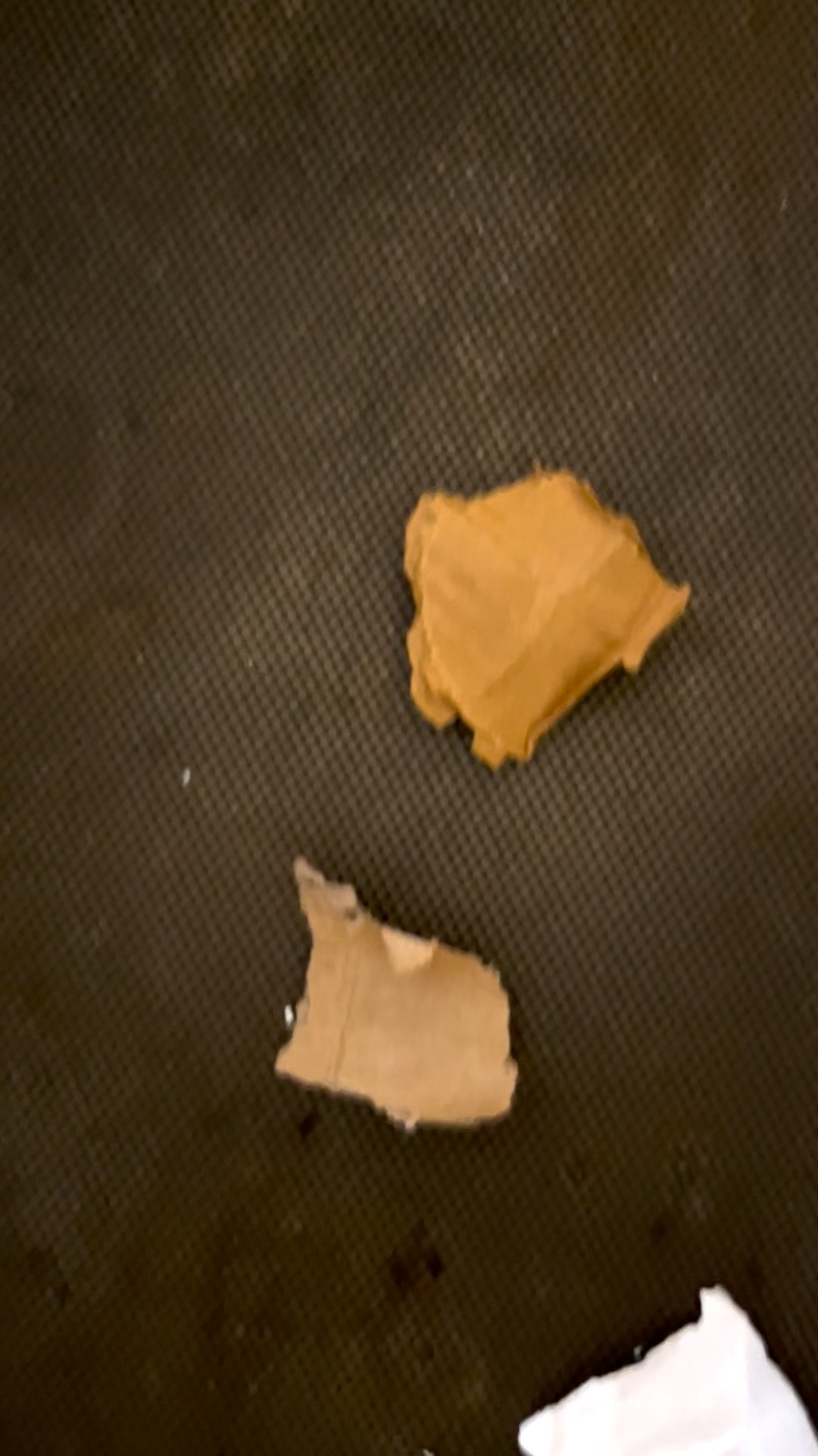 Egg Object Detection Model by Learning Project