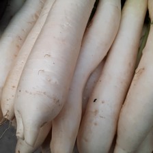 Vegetable Classification Classification Dataset by Indian Institute of ...