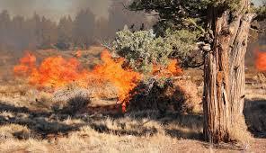 MOBILENET SSD Object Detection Model by UNIVERSITAS MUHAMMADIYAH MAKASSAR