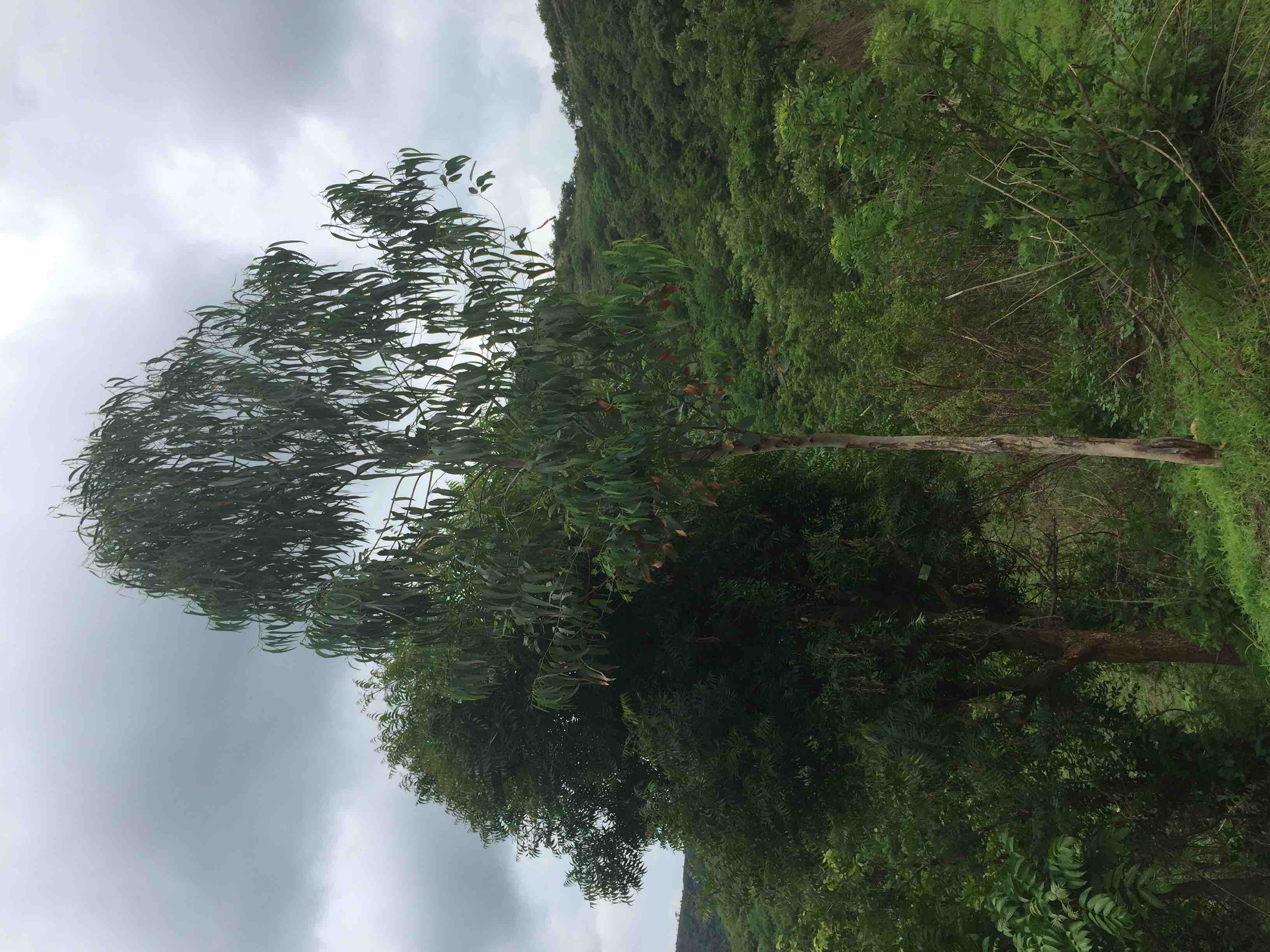 class Object Detection Dataset by class