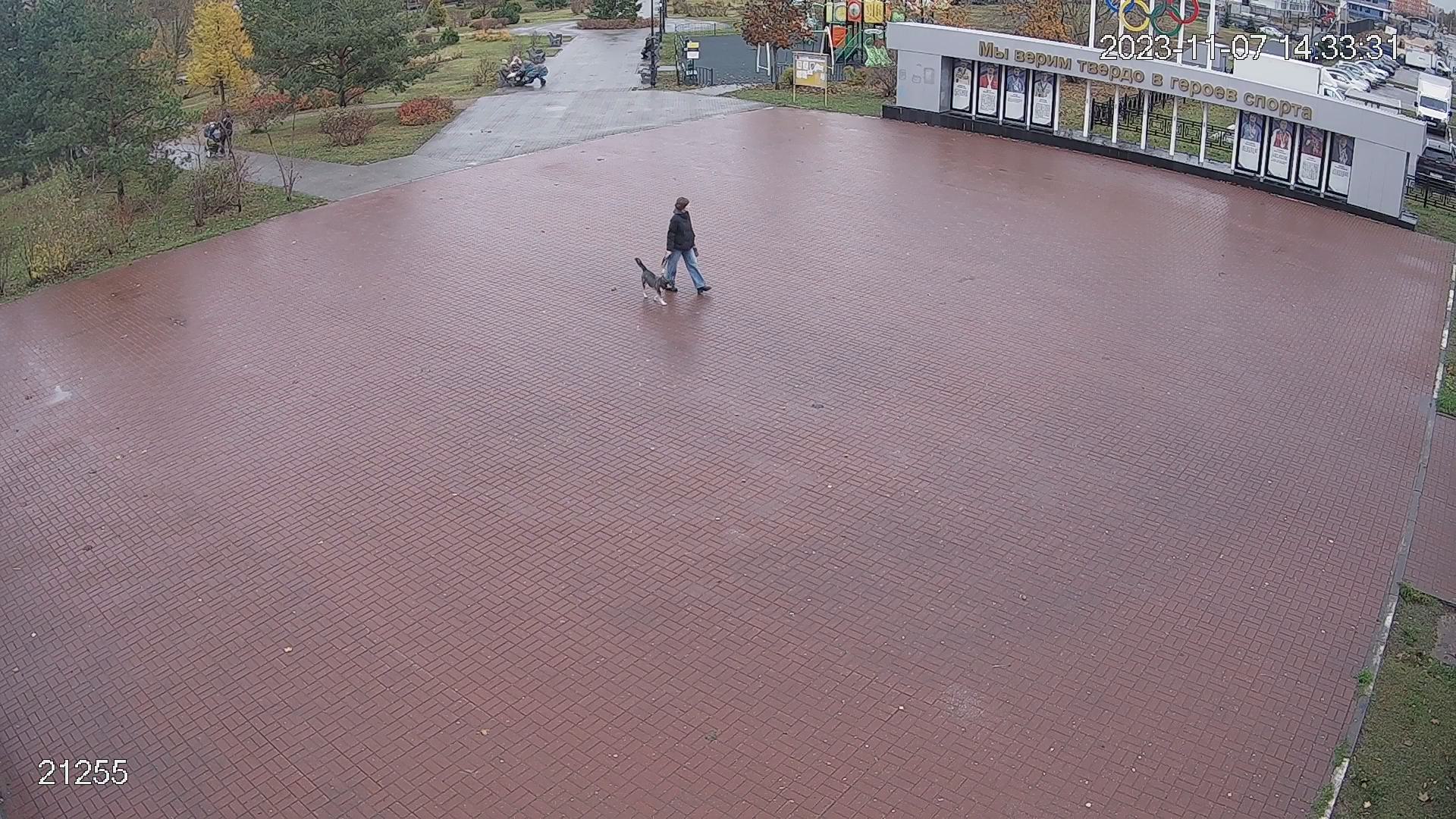 TG_bot_13 Object Detection Dataset by tgbot