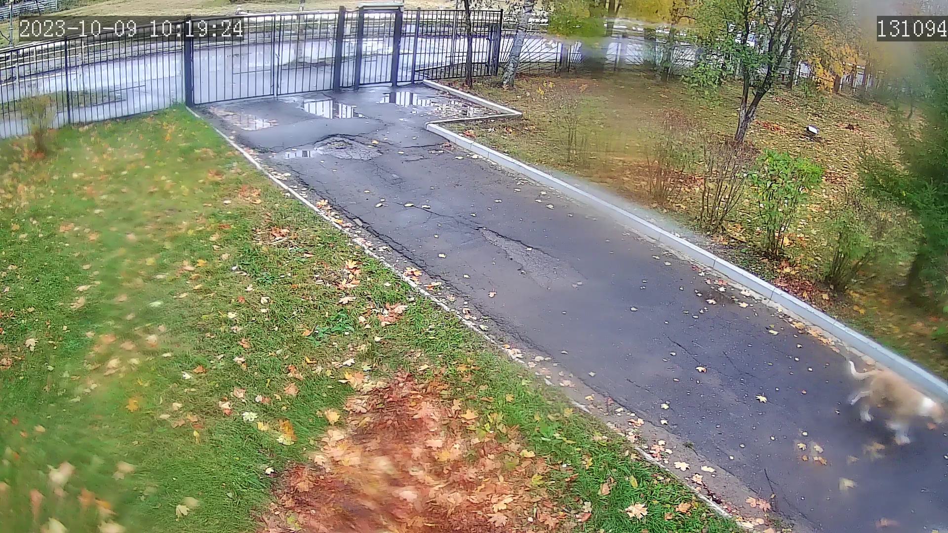 tgbot - Roboflow Universe