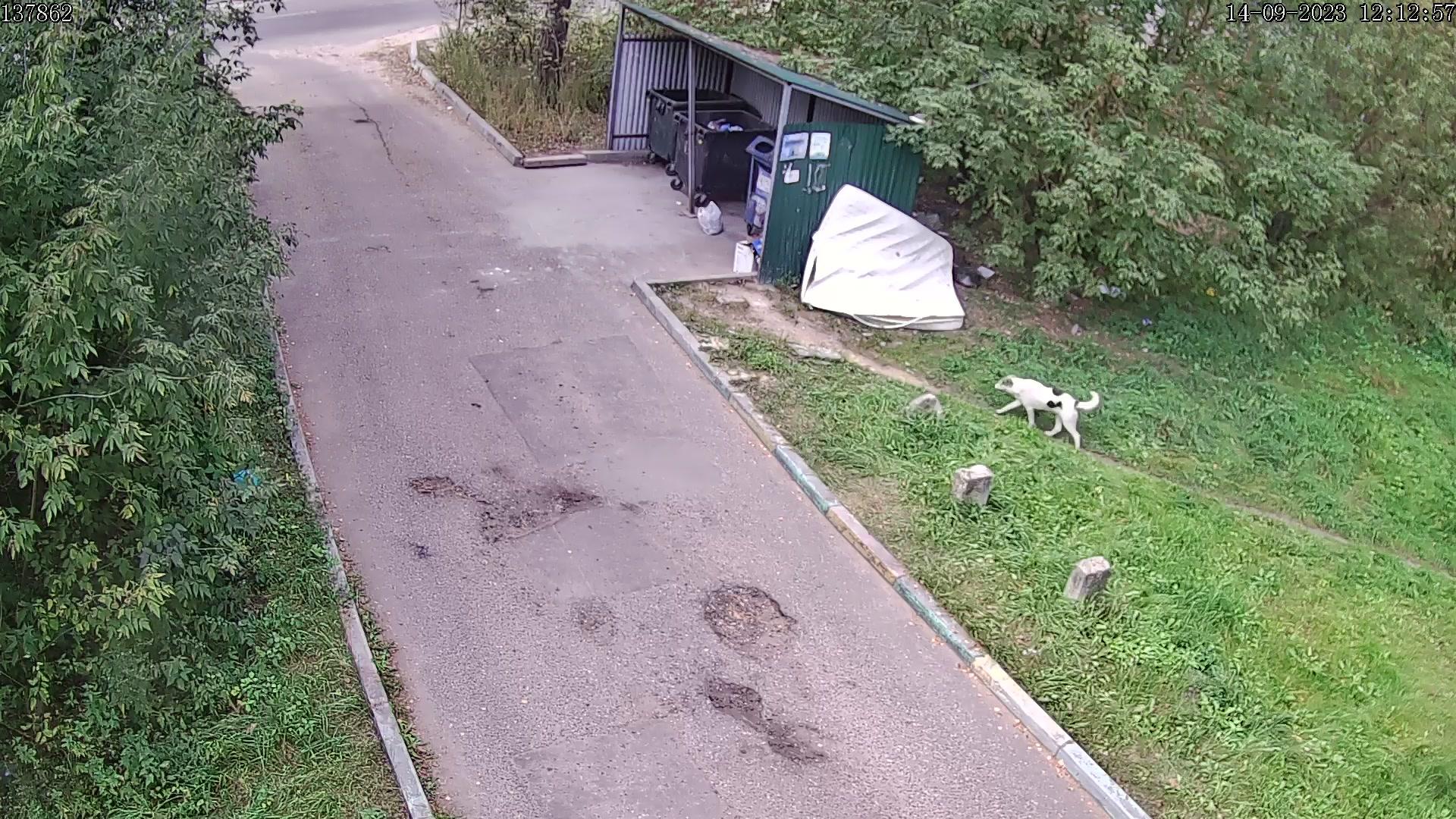 TG_bot_9 Object Detection Dataset by tgbot