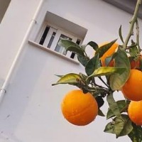 Roboflow tutorial - Roboflow Universe