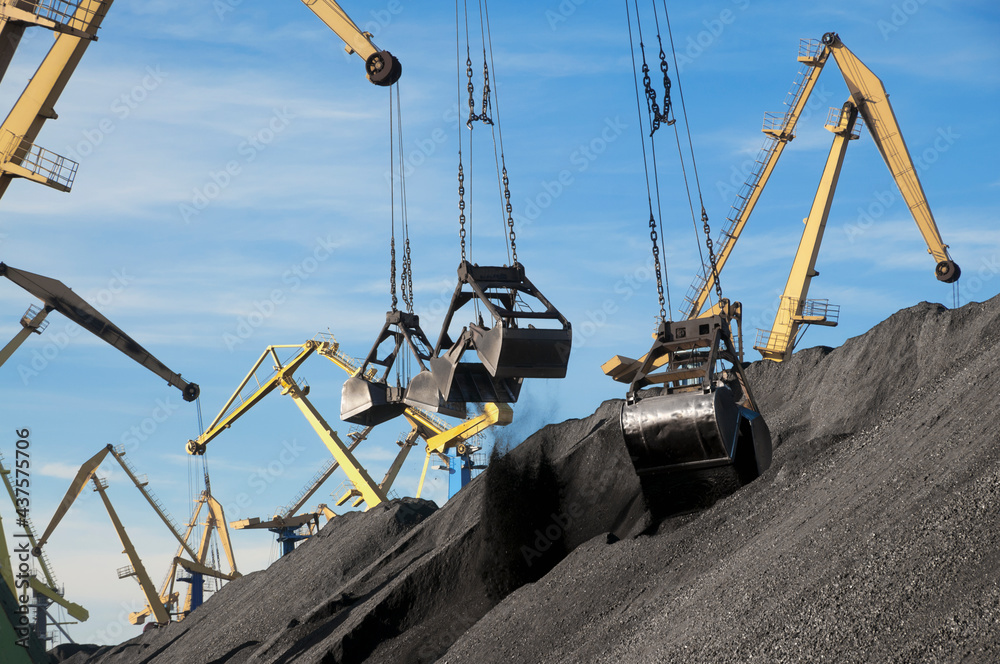 object detection Object Detection Dataset and Pre-Trained Model by Aksaya