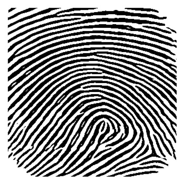 Finger Print Detection Object Detection Dataset By Hamza Ali