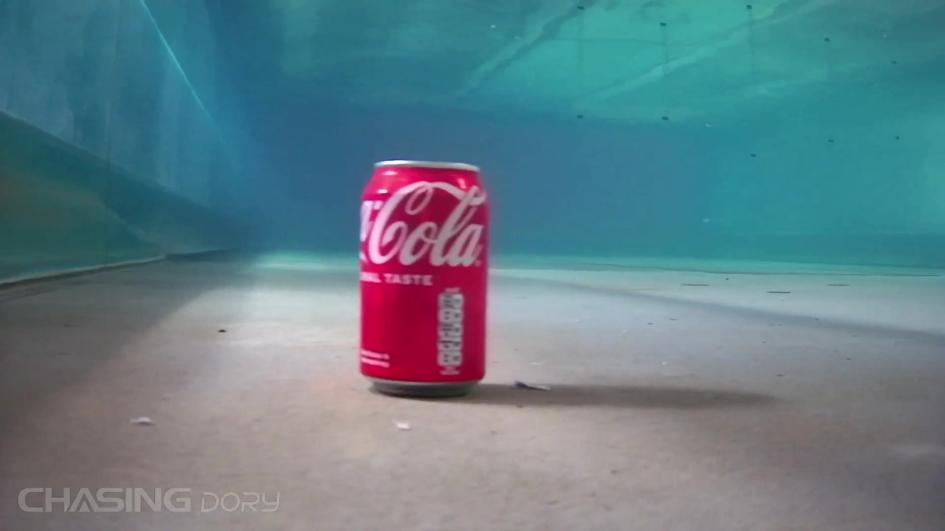Underwater Object Detection Classification Object Detection Dataset By