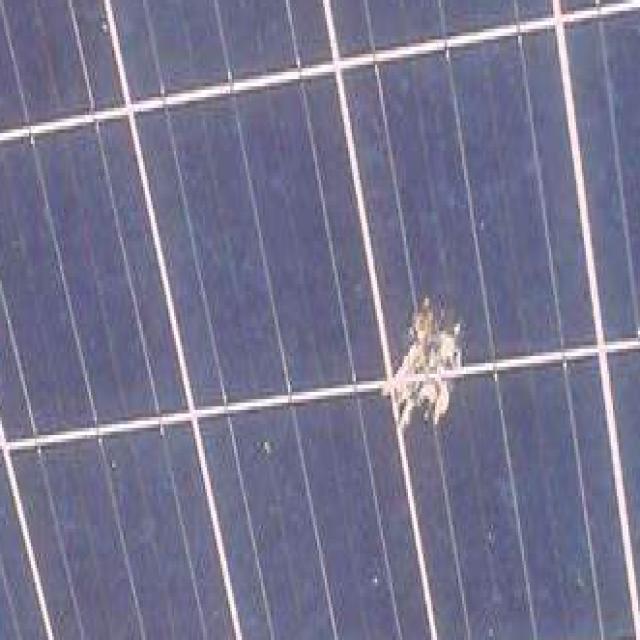 Solar panel autolabel Object Detection Model by FYP Project