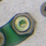 Glue_Screw Object Detection Model by ACEFilter