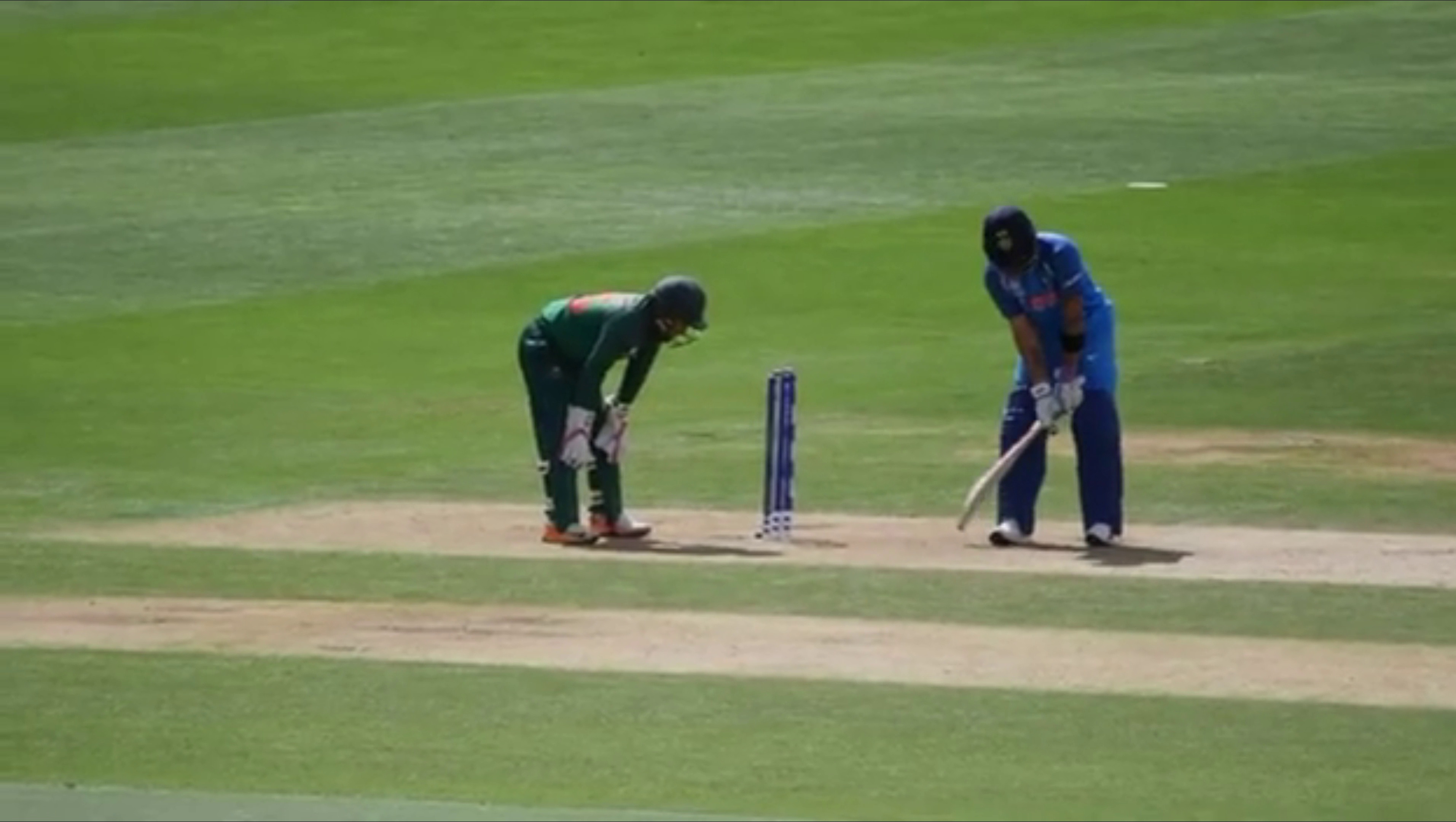 Object Detection Bounding Box Object Detection Bounding Box Yuhmx