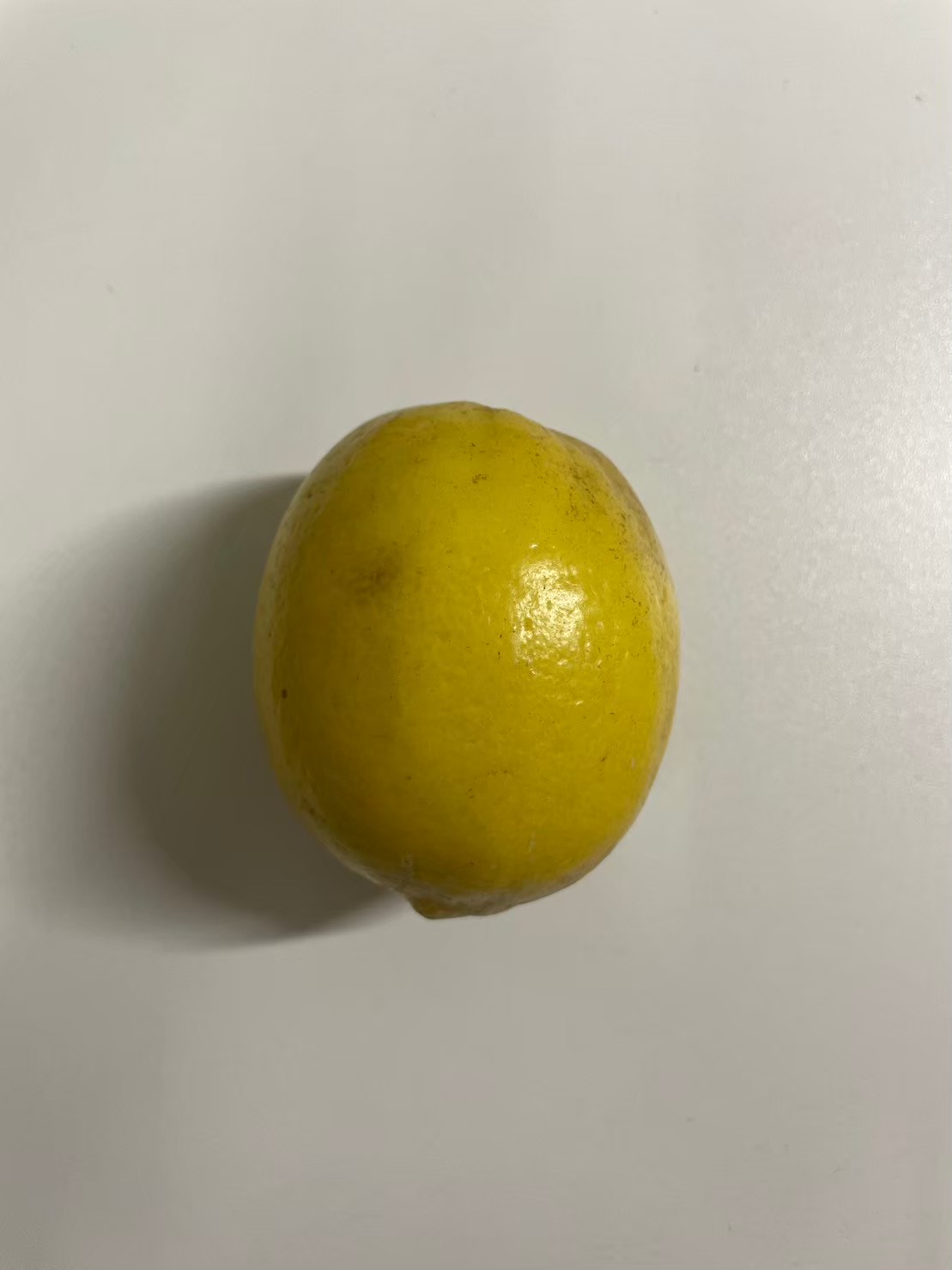 Lemon Object Detection Dataset and Pre-Trained Model by tanyalak